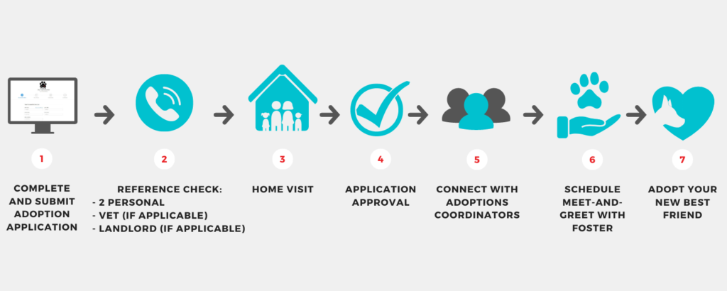 Adoption Information - Last Hope K9 Rescue