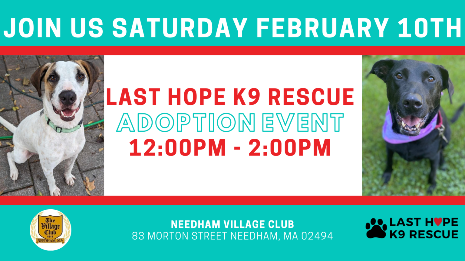 Needham Village Club Hosts the Last Hope K9 Adoption Event! - Last Hope ...